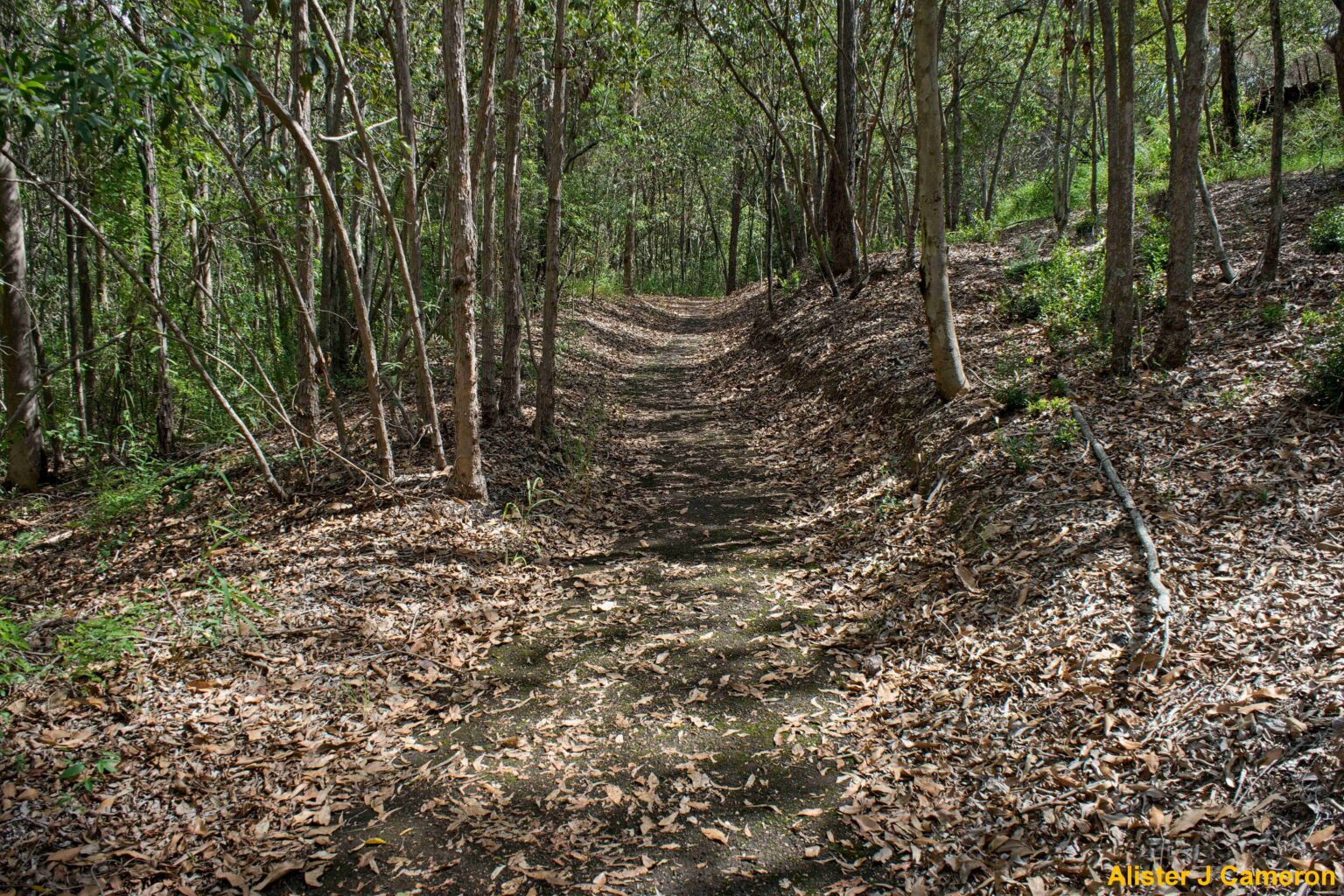 32Ah City Colliery Siding – Railway Archaeology Ipswich (Qld)