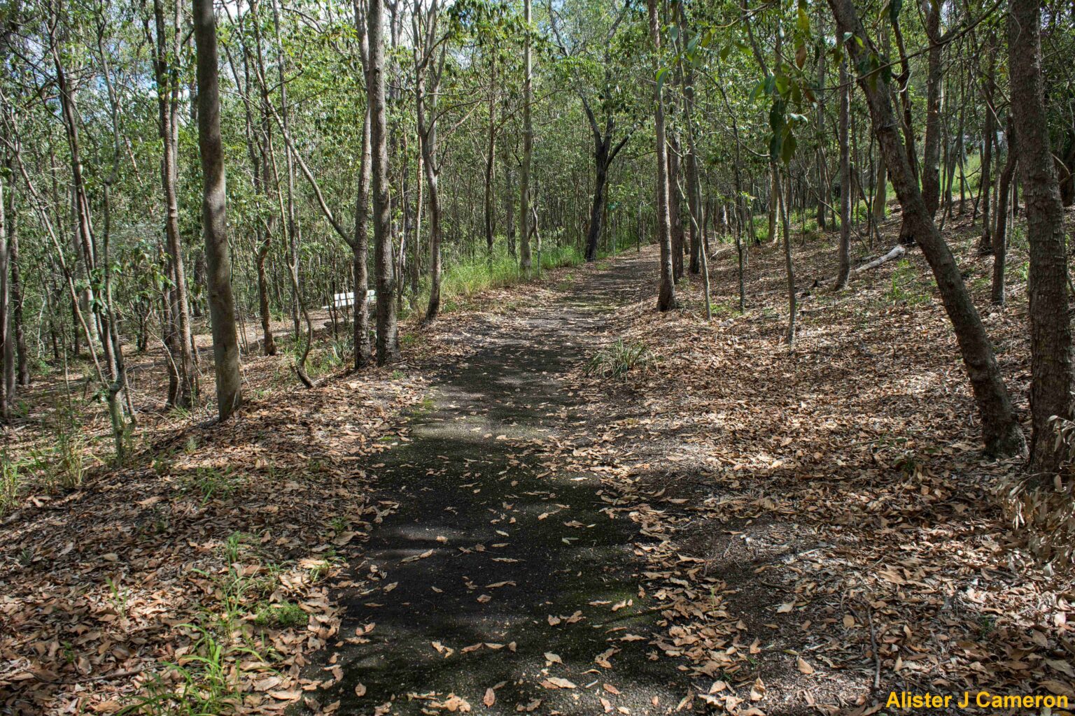 32Ah City Colliery Siding – Railway Archaeology Ipswich (Qld)